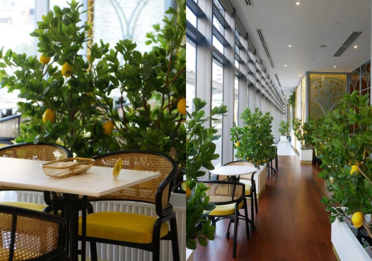 The Lemon Tree 新店：拍照打卡之外 还用美食俘虏你！ - Q-E3